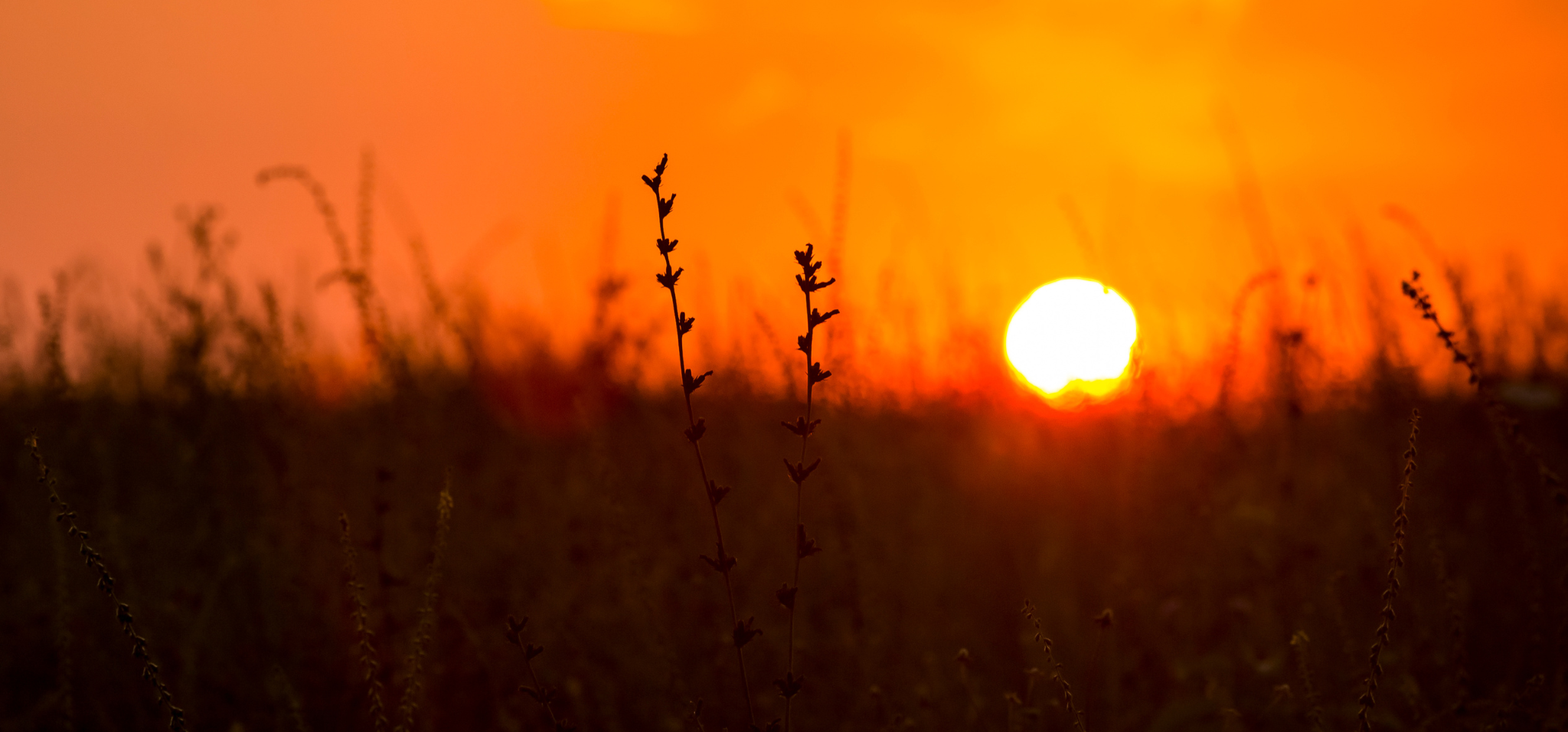 Introducing SOLVE: A FABLE-led Belmont Forum project for inclusive climate adaptation and ...